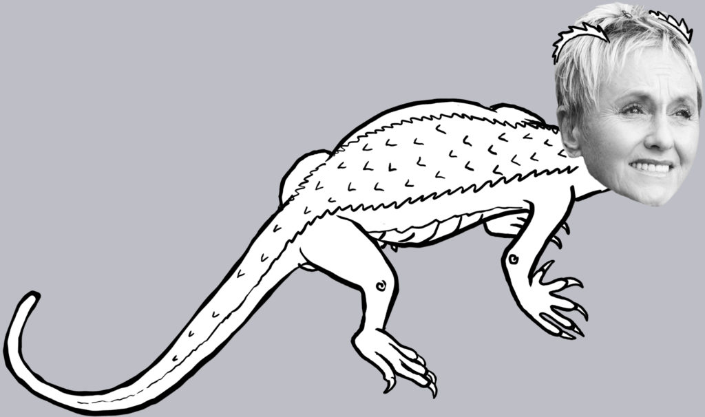 What's wrong with us? - The Mindful Delinquent